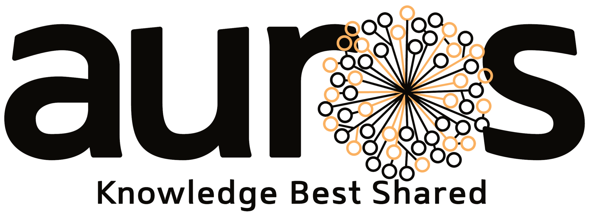 Auros Knowledge Systems » SSI